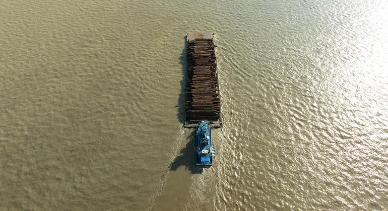 UN deal delivers a smoother ride for global trade | UN News